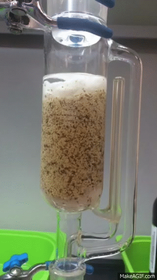 Bio-Diesel Extraction from Rambutan Seeds: SOXHLET YOOOO