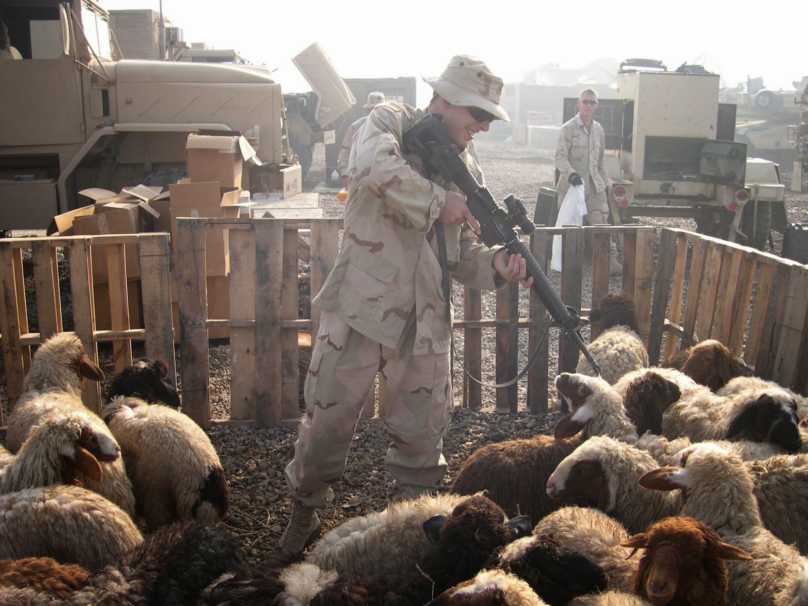 The DGF Badge: I Dream of Iraqi Sheep