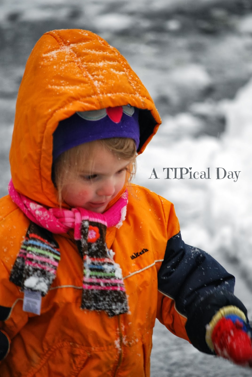 Whatever Goes Wednesday - 15 Fun Ideas for a Snow Day ~ A TIPical Day
