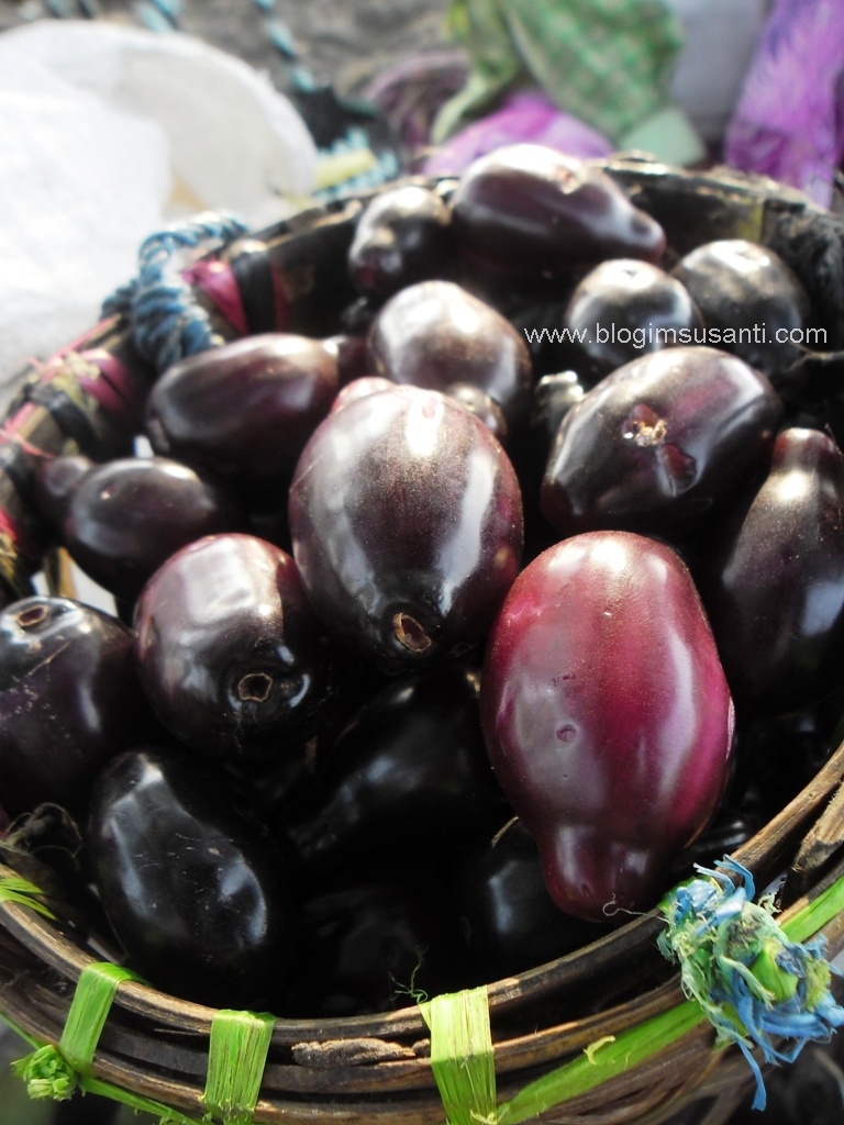 Lopang, Surganya Buah Jamblang - BLOGIMSUSANTI