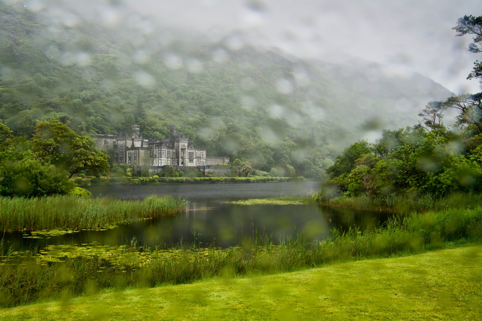 A Tree Falling: Kylemore Abbey, Lough Inagh and Connemara Marble