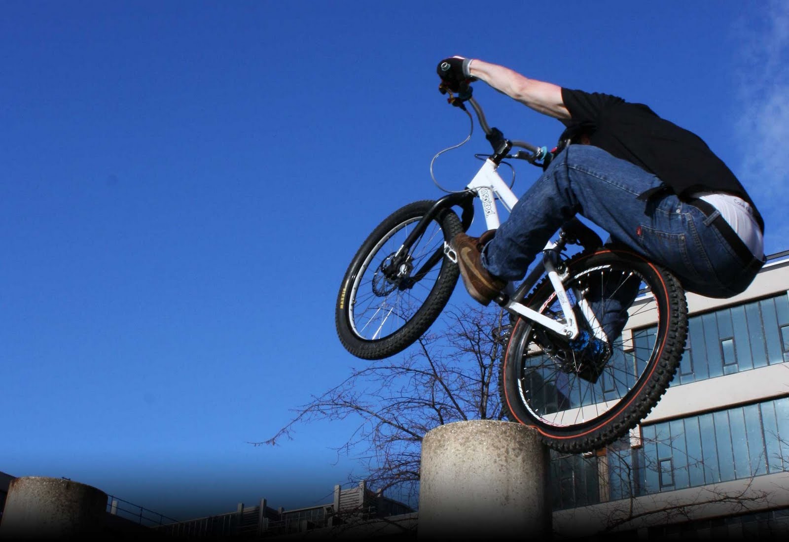 Danny Macaskill The Funeral Band Of Horses at Jade Stainforth blog