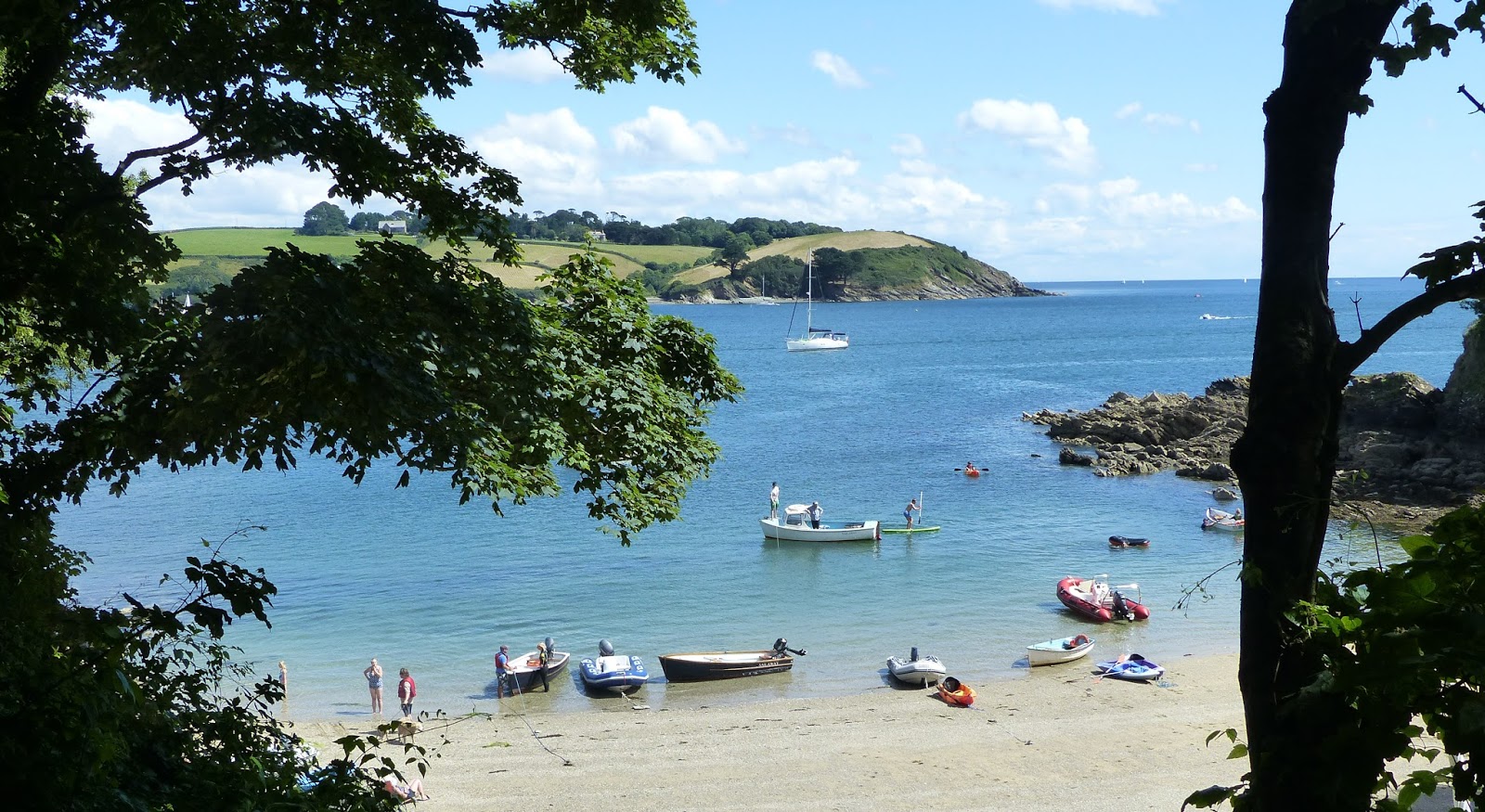 MEI's Barry Wills: The south bank of the Helford River