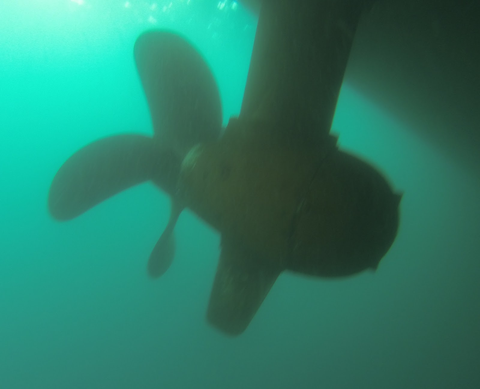 Axial Seamount Expedition 2015: Facilitating Science