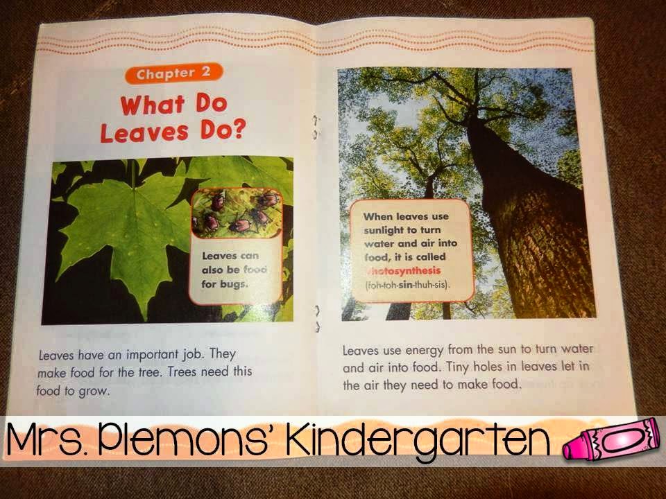 Book Talk Tuesday-Learning About Leaves with Freebies! - Mrs. Plemons ...