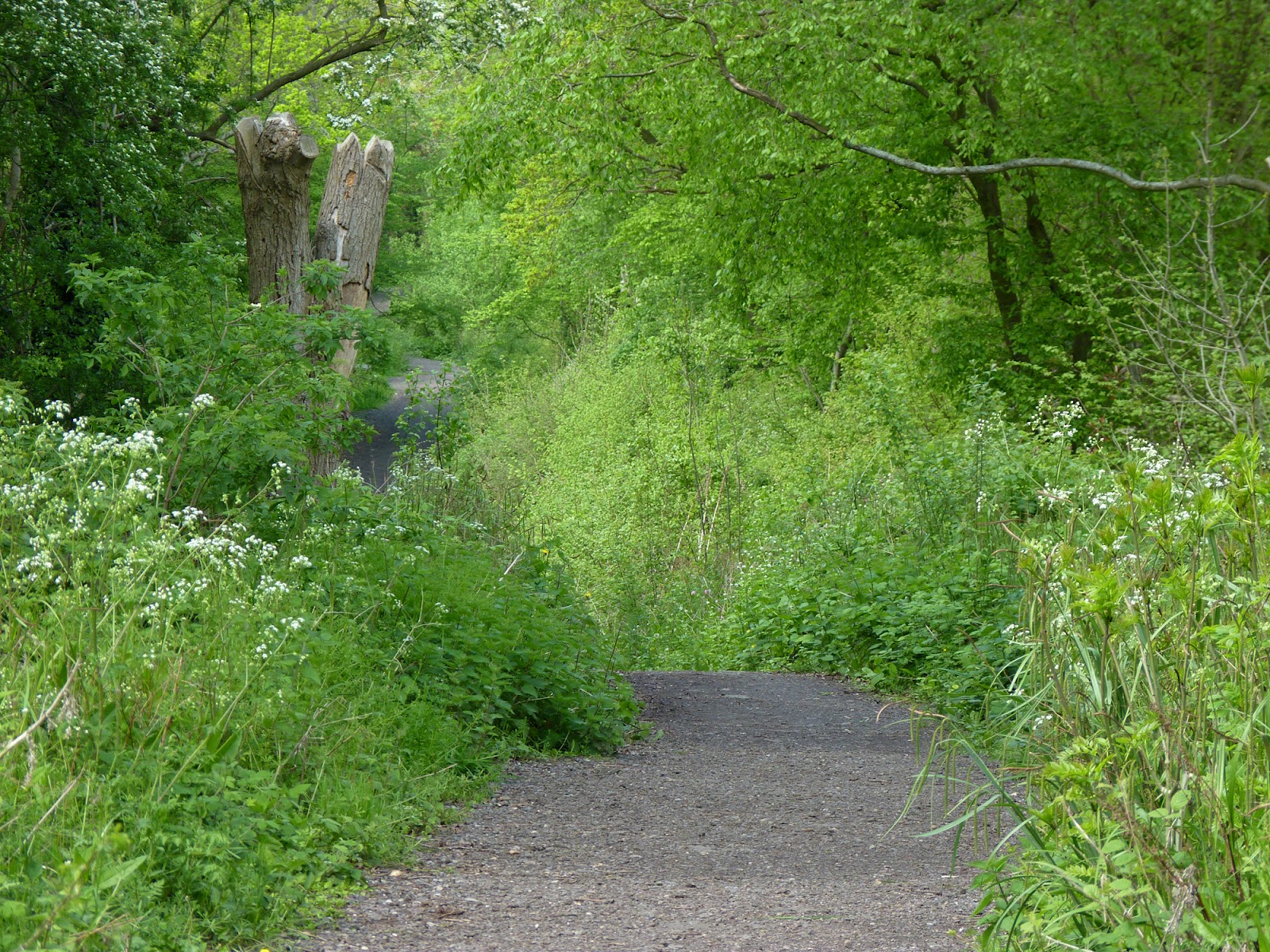 JJ's Photographic nature blog: A change of scenery...