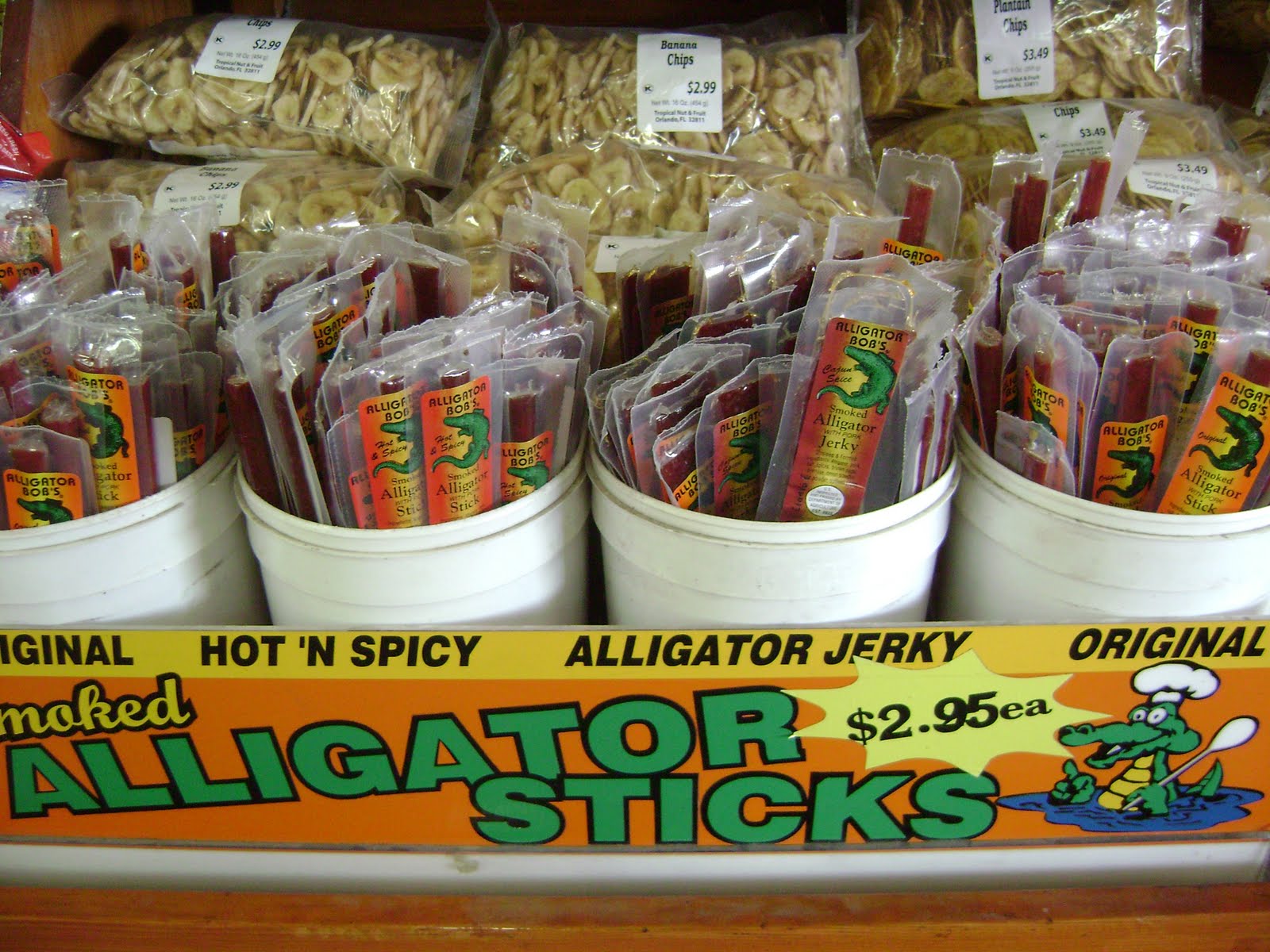 mooresonthemoveinamerica: Florida photos Alligators and Alligator food!