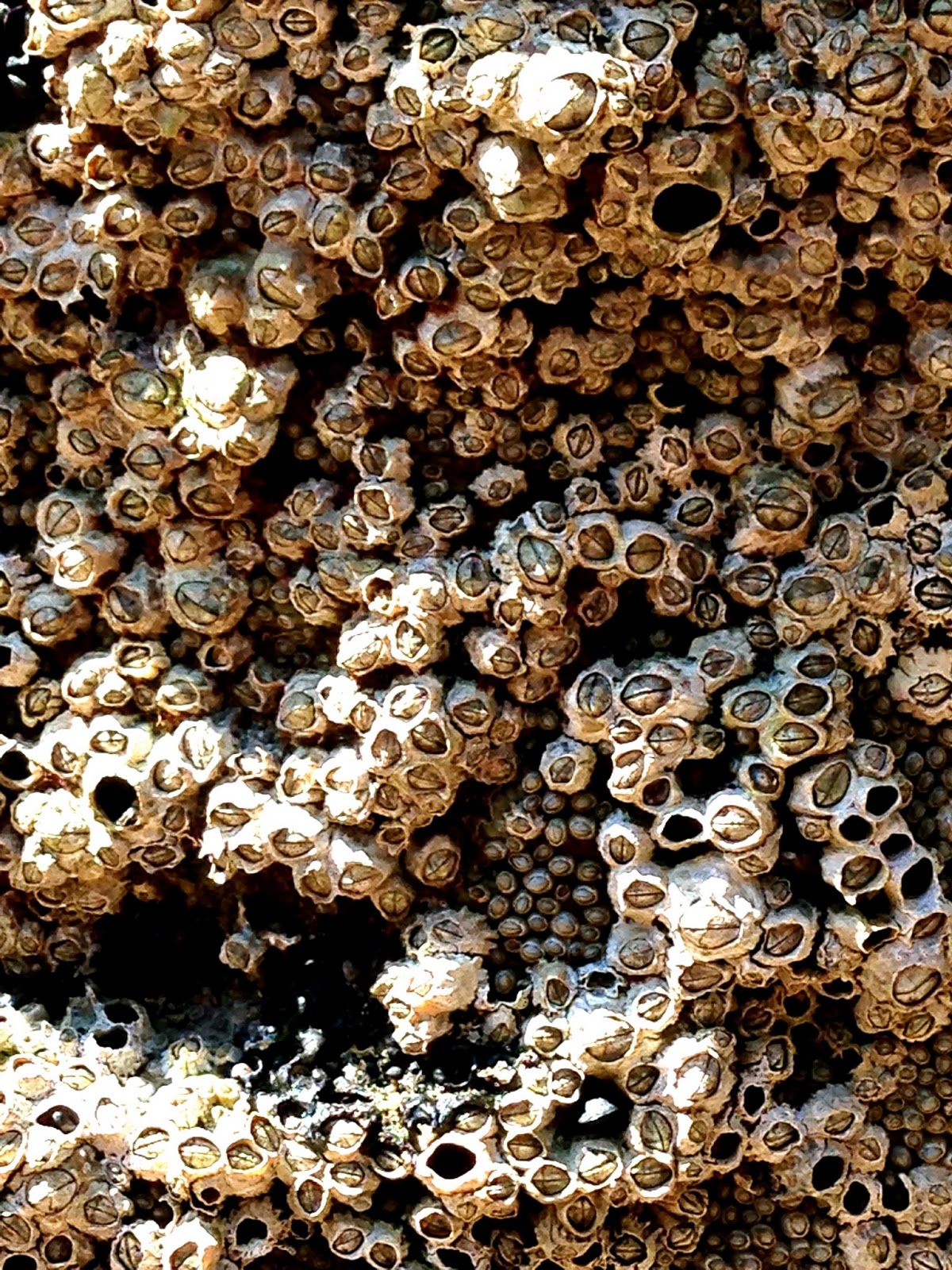 Julia Wright Jewellery & Textiles: Inspiration