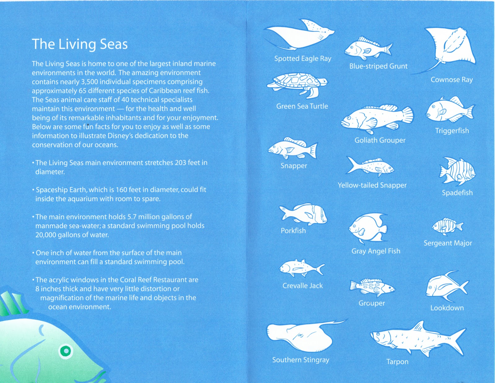 Williams Family: Dining at Coral Reef in EPCOT