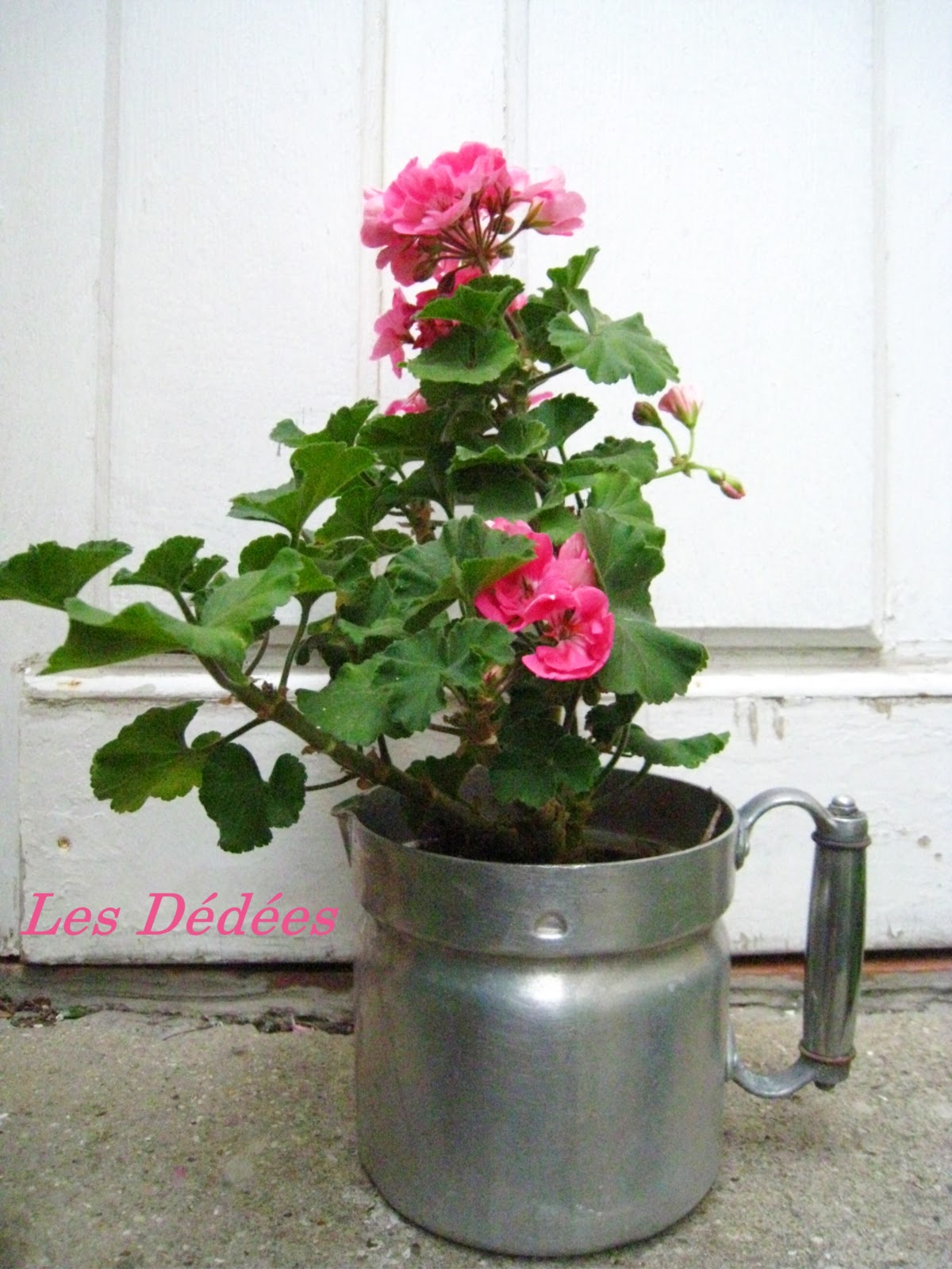 Les dedees : vintage, recup, creations: DECO : LES POTS A LAIT EN ALU ...