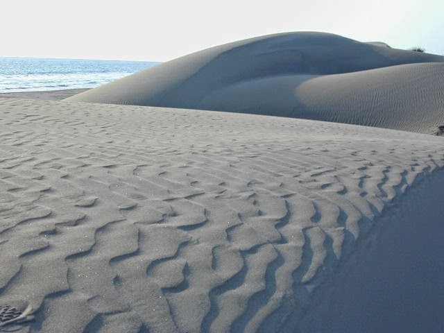 La Isla de Altamura y sus Dunas, Sinaloa