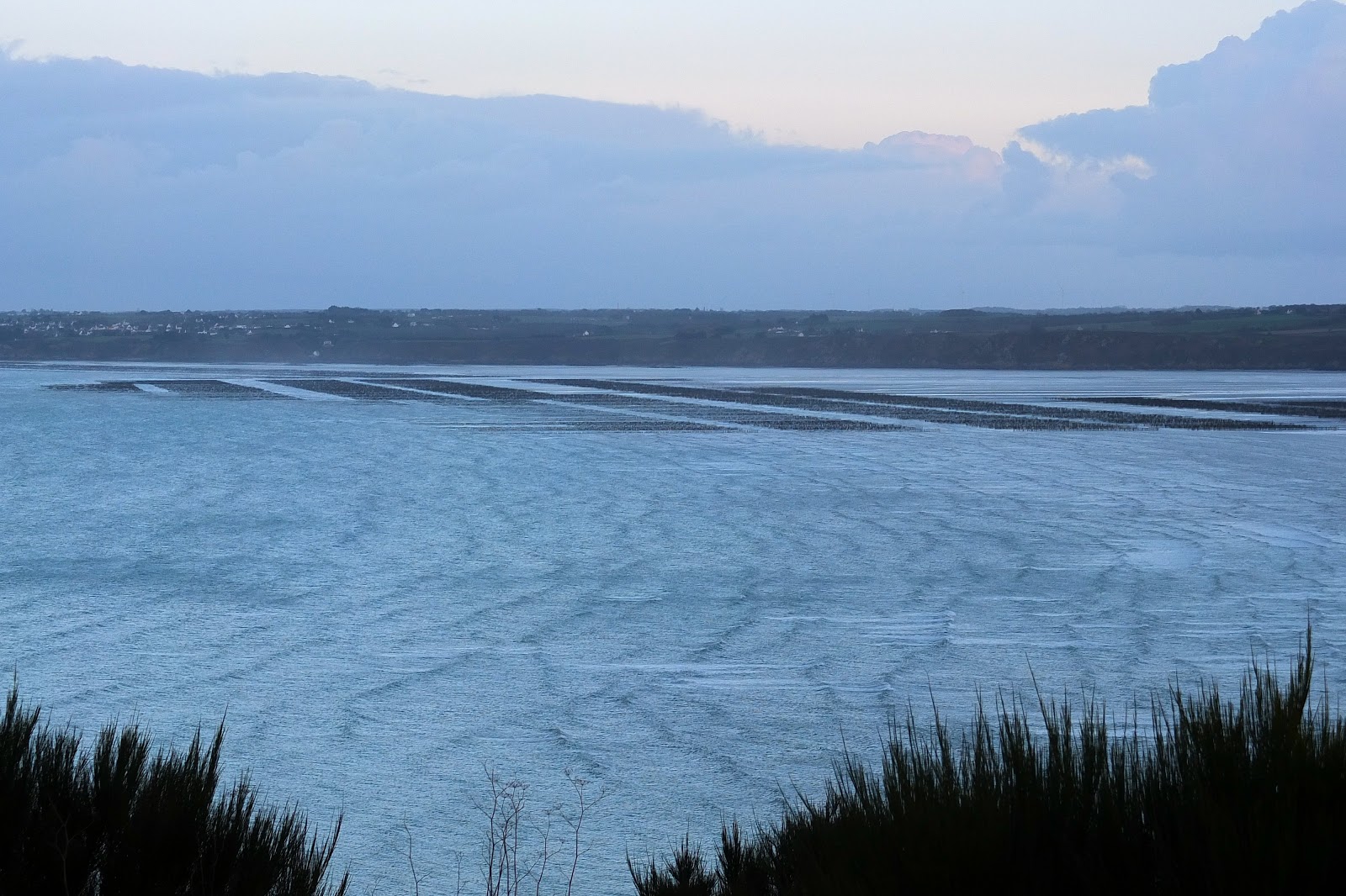 Blog de Patrice Metais: La baie de Saint Brieux