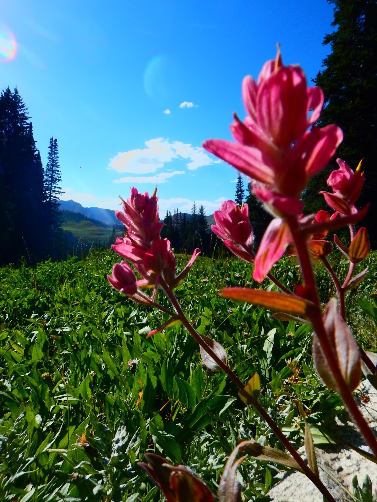 Tales of the 10th West Irregulars: Cecret Lake Alta, Utah