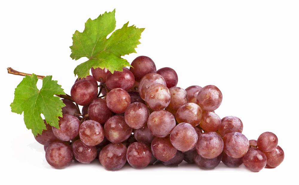 Mengapa Minum Khamr Haram dan Makan Anggur Halal? - Biologizone