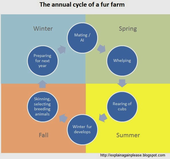 Animal science: Fur farming - animal species and annual cycle