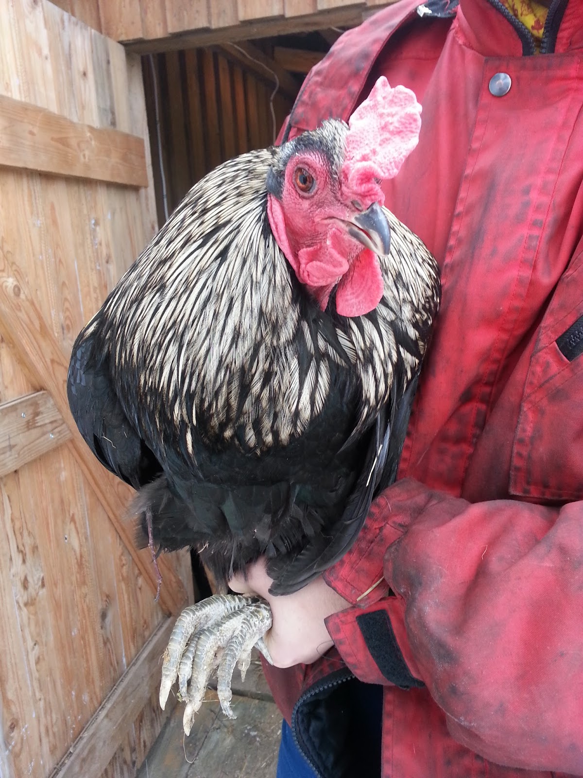 Maakad linnast - Meie uus algus: Igal teol on tagajärg.