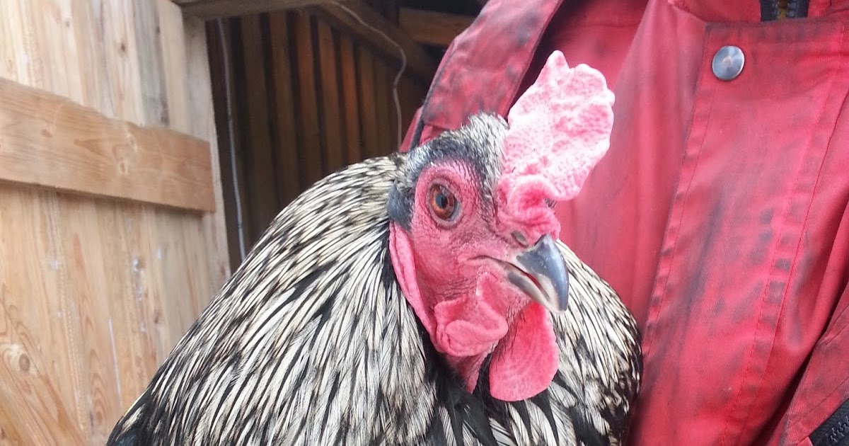 Maakad linnast - Meie uus algus: Igal teol on tagajärg.