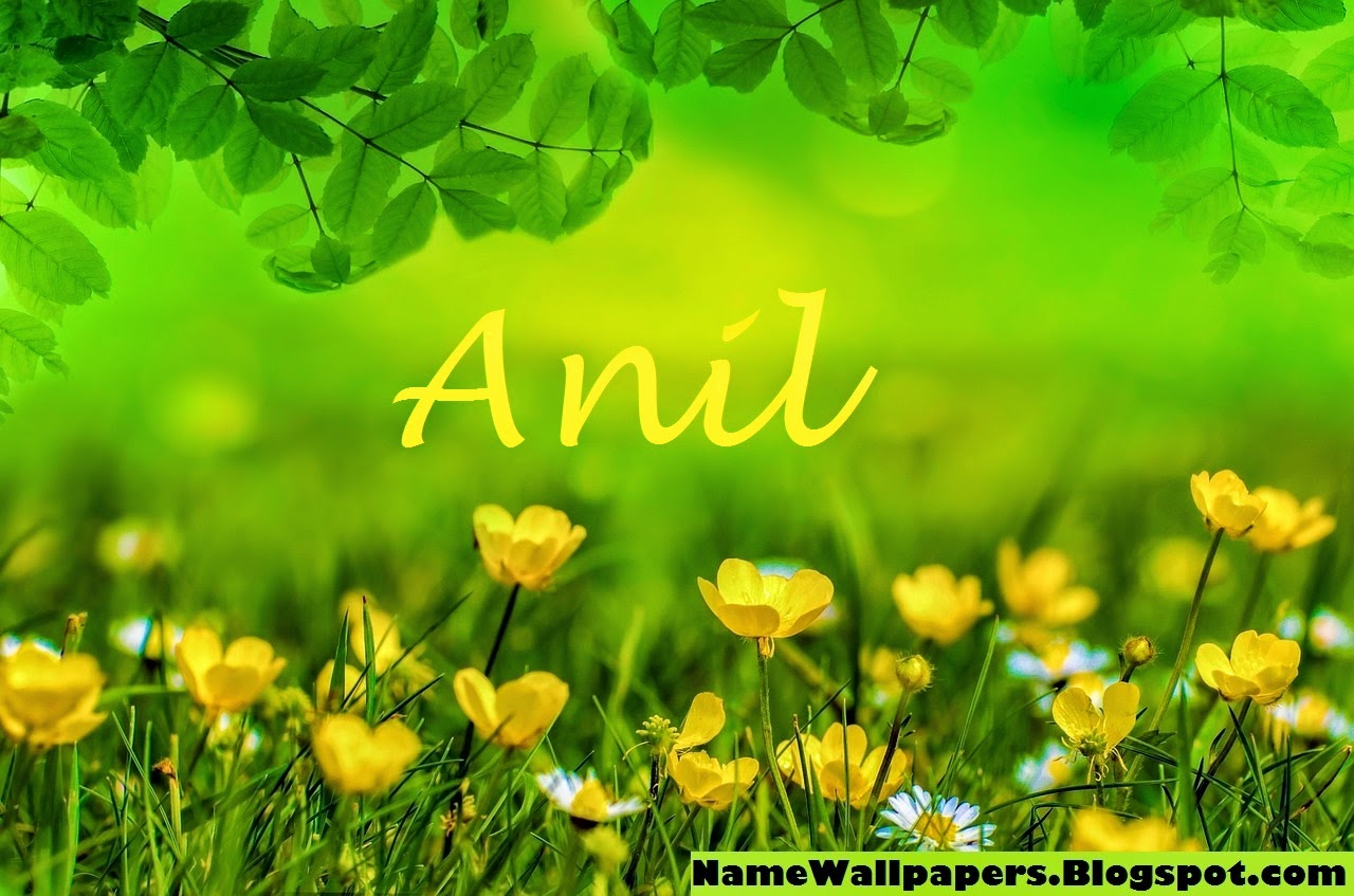 Anil Name Wallpapers Anil ~ Name Wallpaper Urdu Name Meaning Name ...