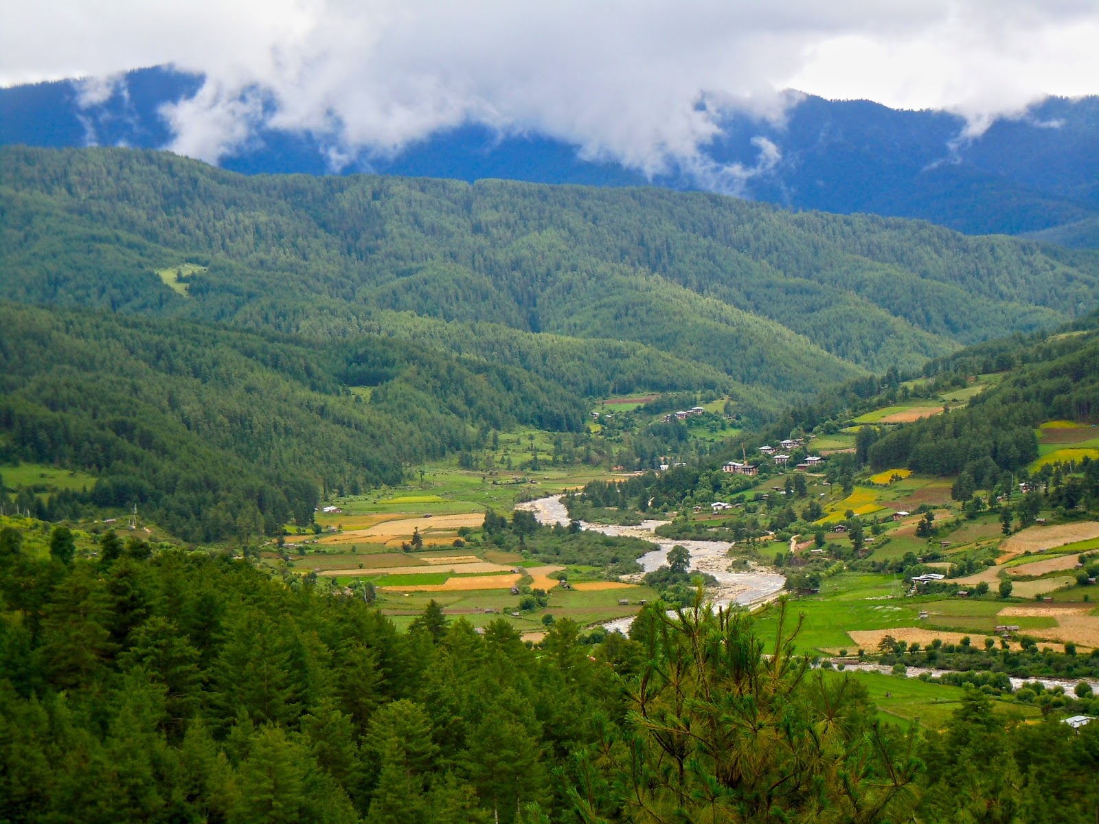 Yankee in Bhutan: What I Did On My Summer Vacation, Part I: Chamkar ...