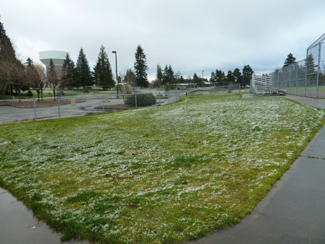 NW Artist: Learning About Life, Art & Spirituality: Walter E. Hall Park ...