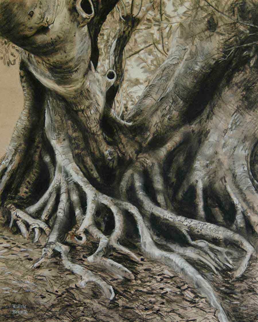 Bauer Bower : Trees of Paddington