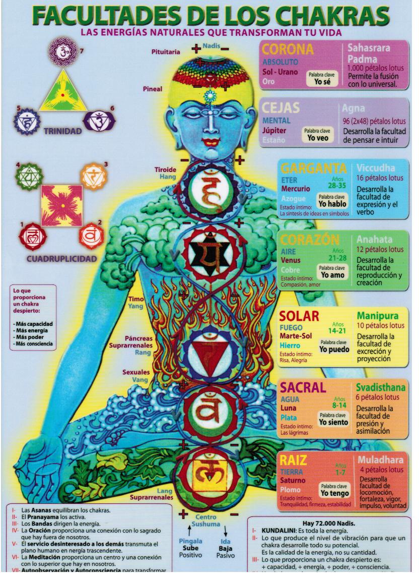 Abundancia, Amor y Plenitud : TODO SOBRE LOS CHAKRAS