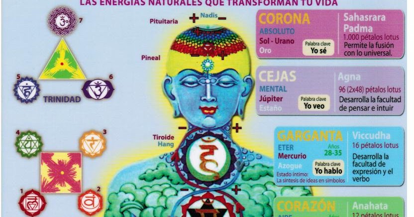 Abundancia, Amor y Plenitud : TODO SOBRE LOS CHAKRAS