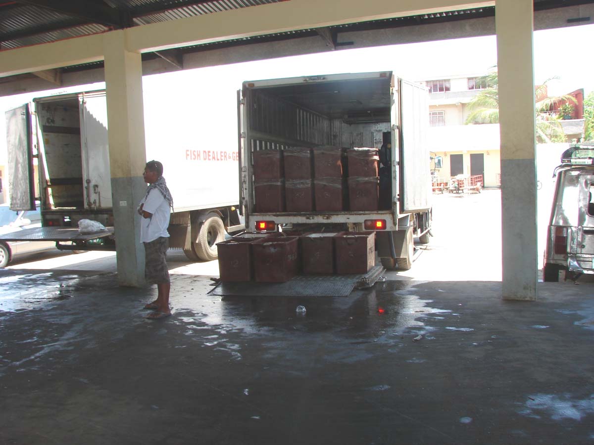 Mambulaoans WorldWide Buzz: Commentary: Falling in love with Mercedes ...