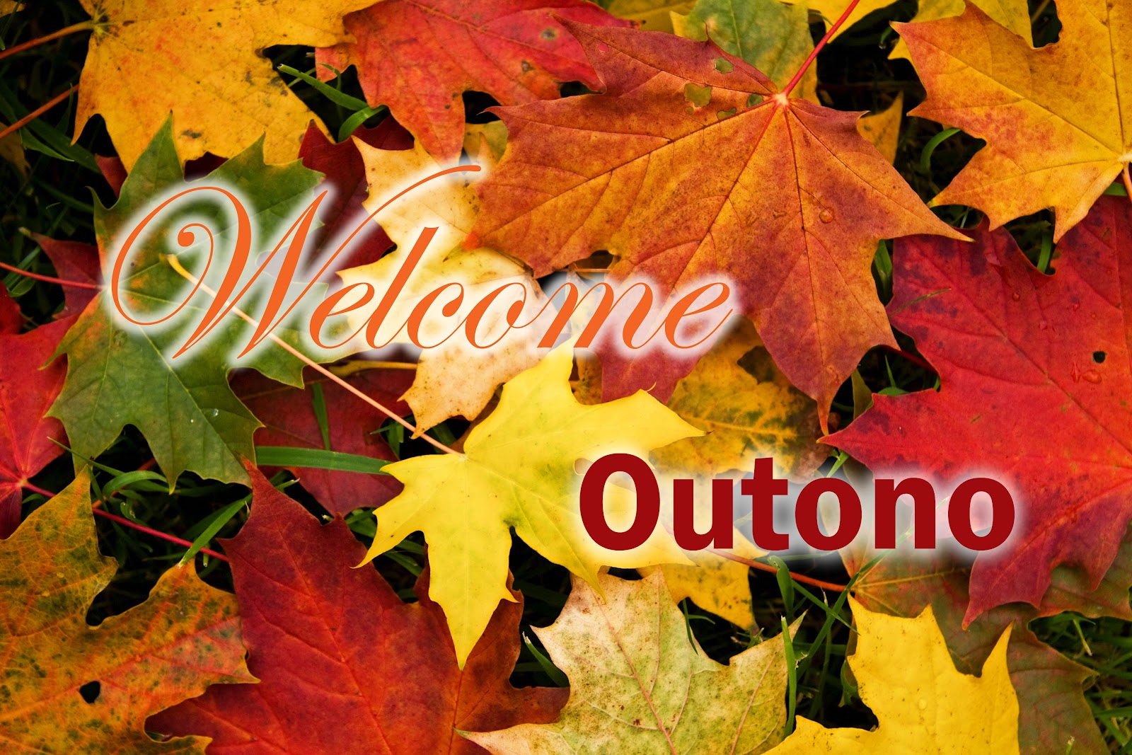 Bem-Vindo Outono ! 38 Imagens para vc se inspirar