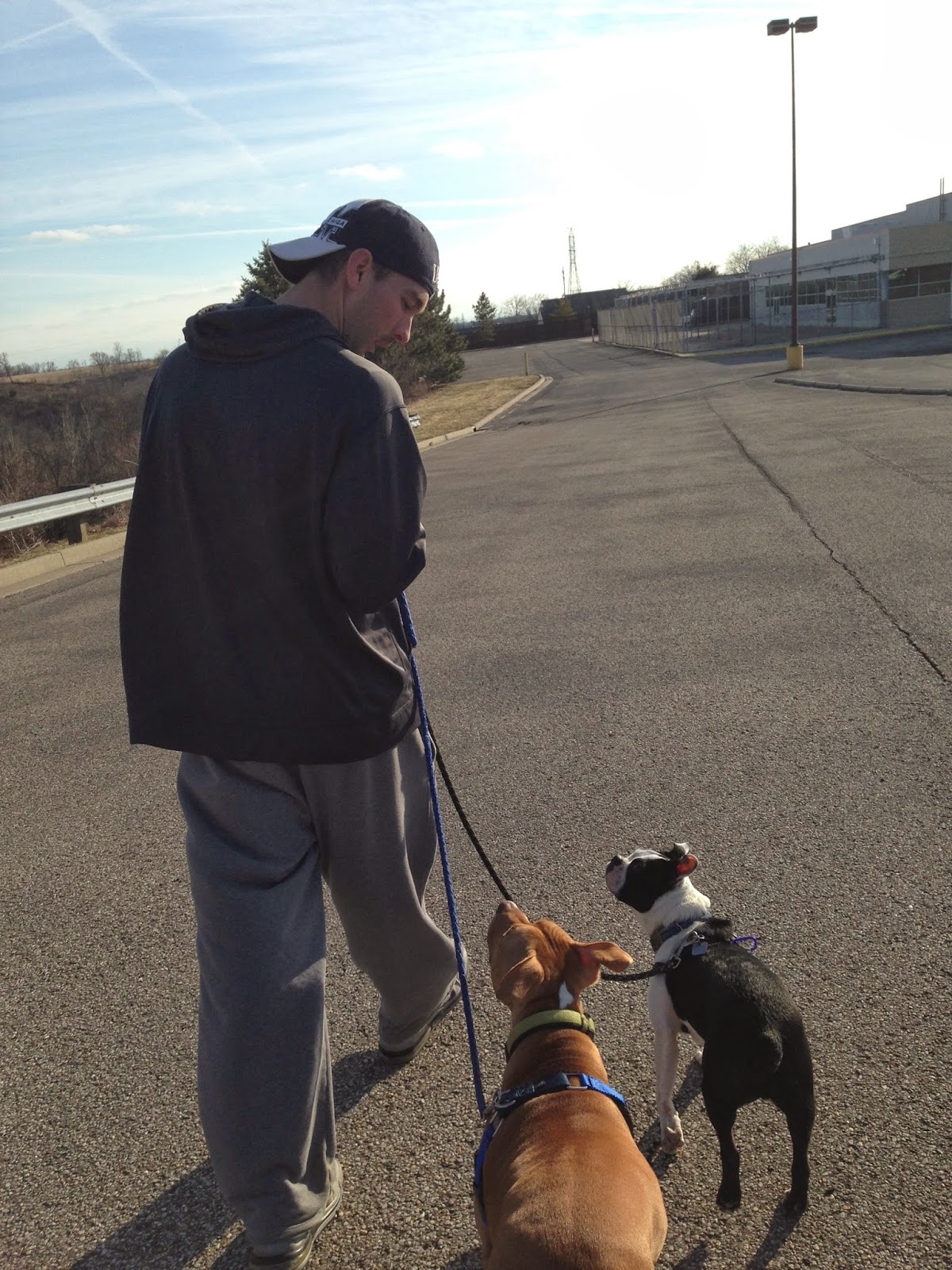 Walk the Walk | The Ruff Life