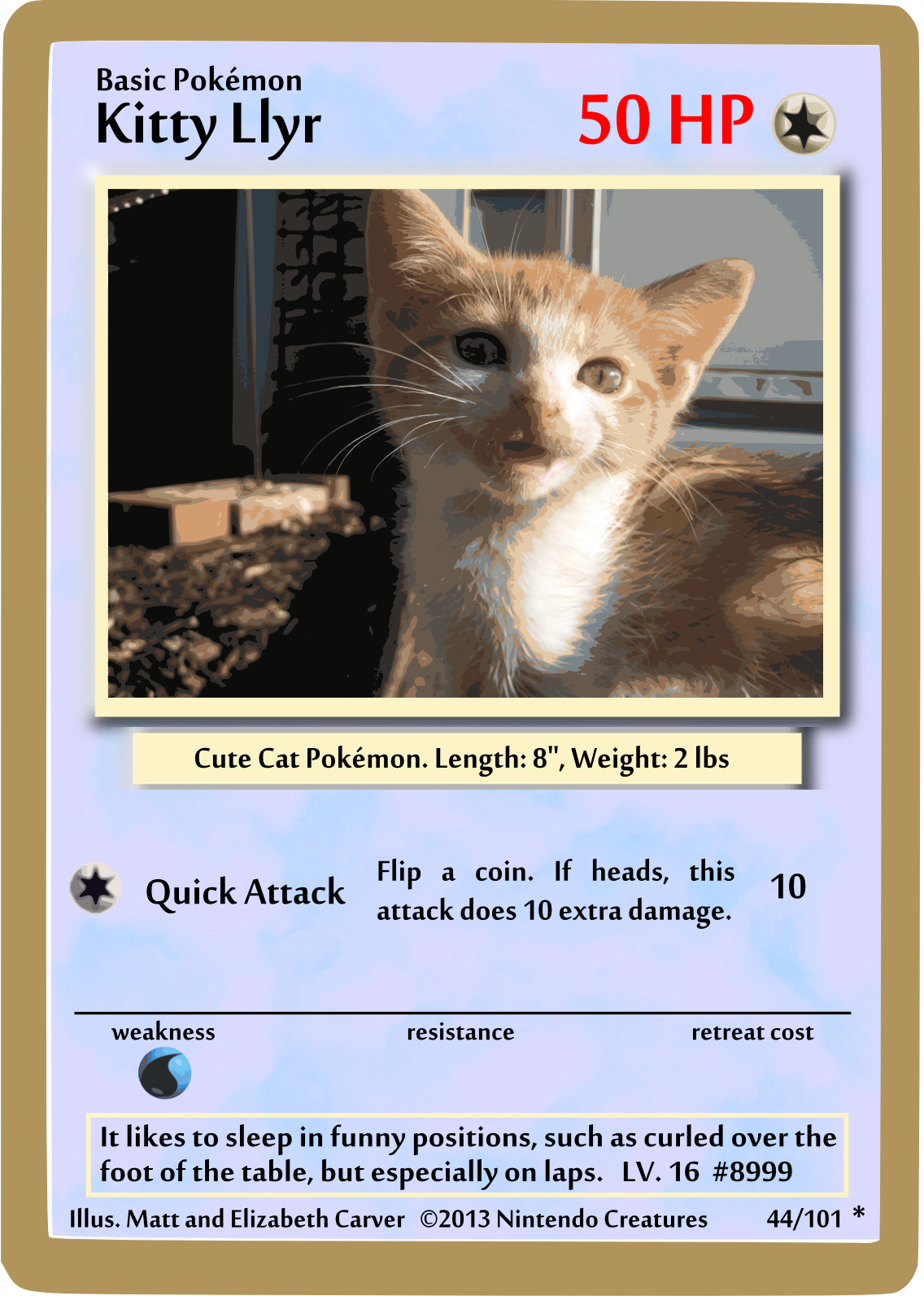 and kitty makes three: Project: Pokémon Cards