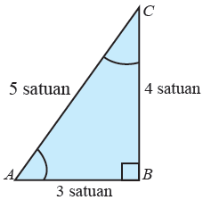 Perbandingan Trigonometri pada Segitiga Siku-Siku - Biology Page