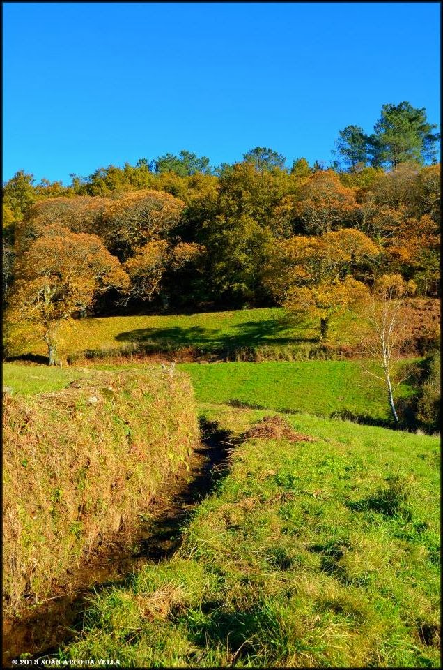 XOAN ARCO DA VELLA: MUIÑO DE ZOBRA - ZOBRA - LALIN