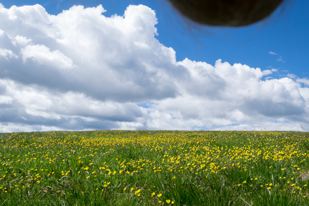 KentangKacang: BILA NUTS BERTEMU LANDSCAPE, JADILAH NUTSCAPES
