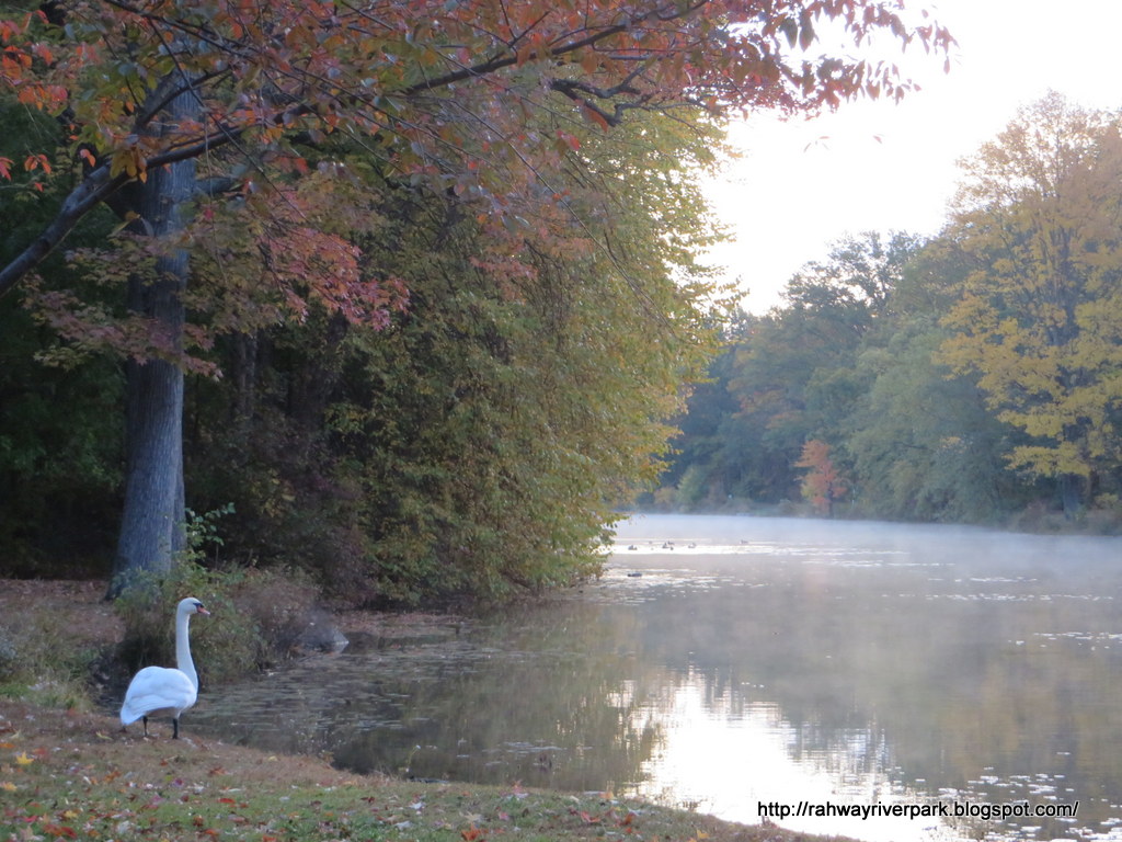 4 seasons in the life of Rahway River Park
