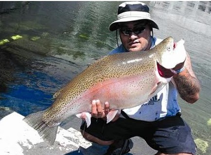 International Fishing News: USA: a 28 lb 9 oz rainbow trout caught in Idaho