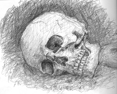 Stephen Lawson's Drawing on Inspiration: Skull Sketch and Studies