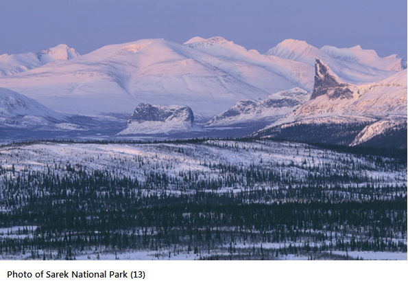 The Swedish Alpine Tundra