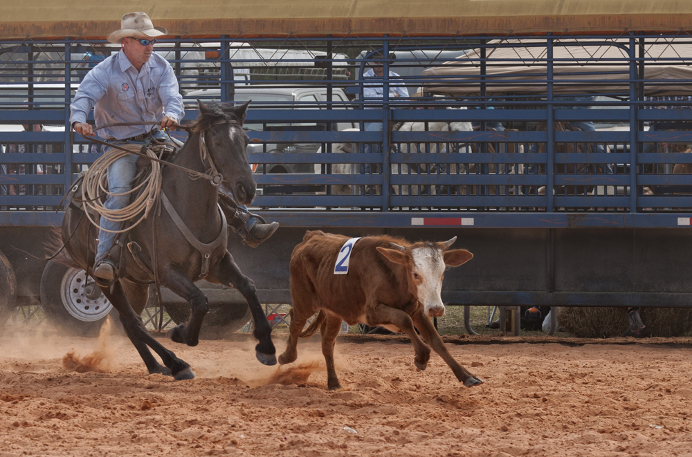 Photography Journal by Katherine Bargar: Ranch Rodeo at the Central ...