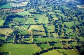 Conocemos los diversos paisajes: PAISAJES HUMANIZADOS. El paisaje rural.