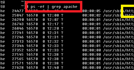 Linux: Apache donde esta httpd.conf o apache2.conf | SYSADMIT