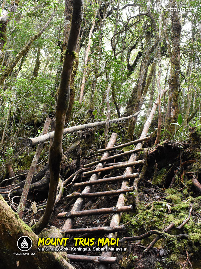 Mount Trusmadi (Via Sinua,Sook - Mannan Trail) - AAZ