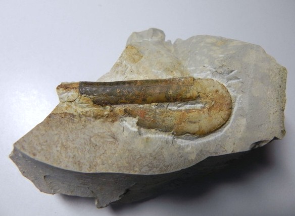 Subbética Natural - Rutas guiadas de naturaleza en la Subbética ...