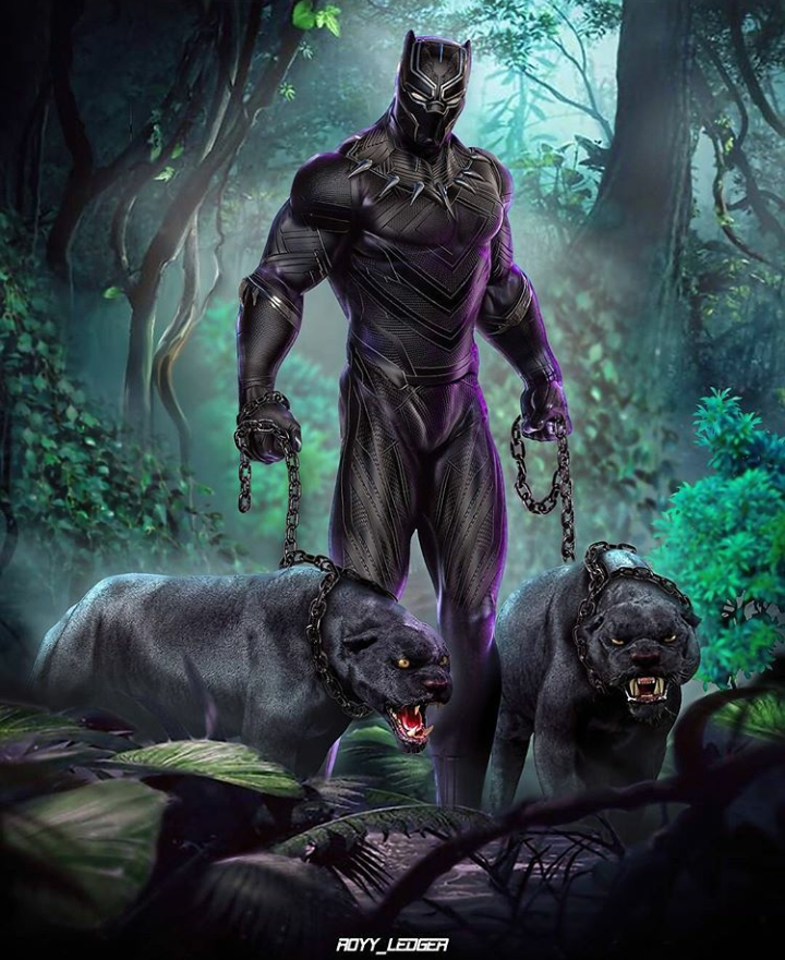 Herois do super: Pantera Negra