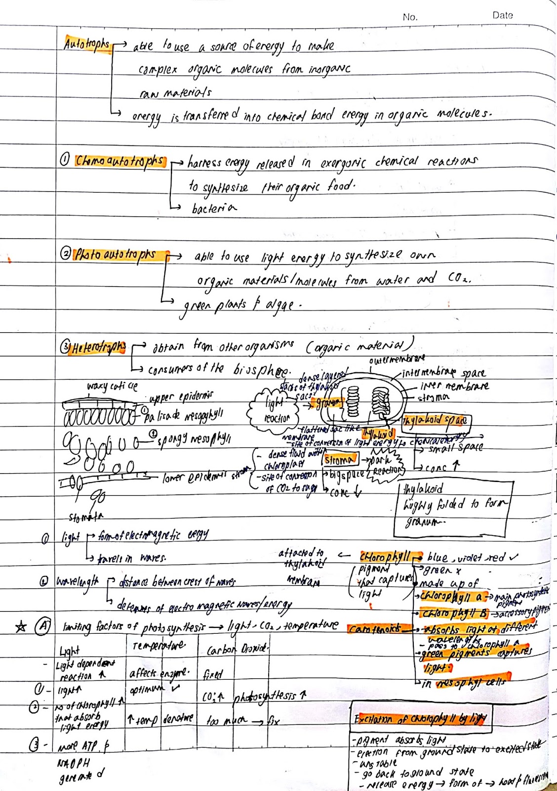 MUFY Biology Semester 1 Notes (RAW)