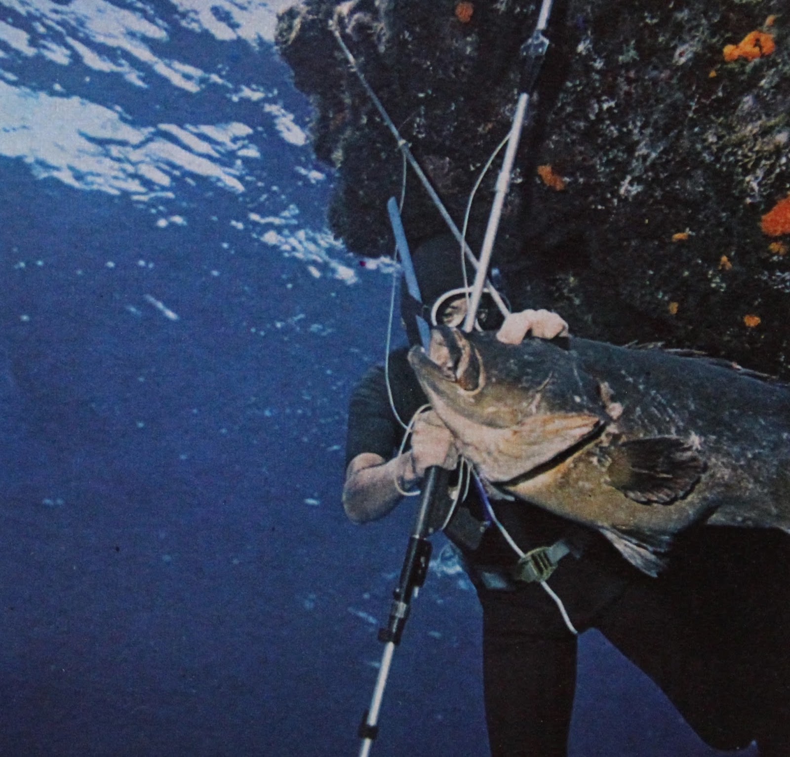 ReportageSicilia: ROBERTO MERLO DOCUMENTARISTA DELLE PELAGIE