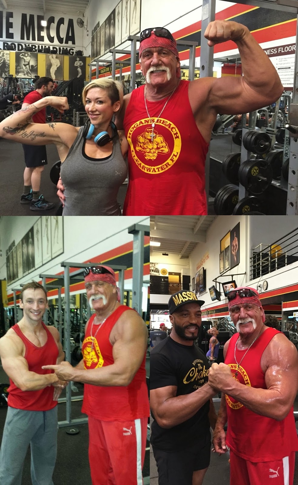 Hulk Hogan Fans Club Italia: Hulk Hogan è tornato ad allenarsi alla ...