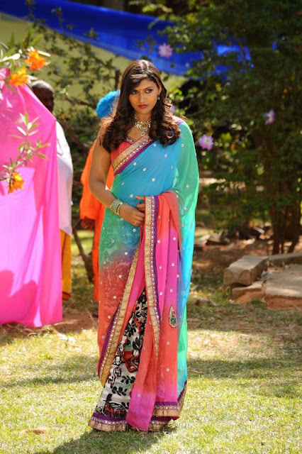 South actress Neethu Thighs and Navel in Red Transparent Saree Hot ...