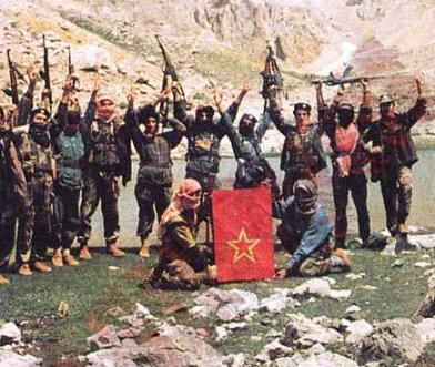 Guerrillas in the Midst