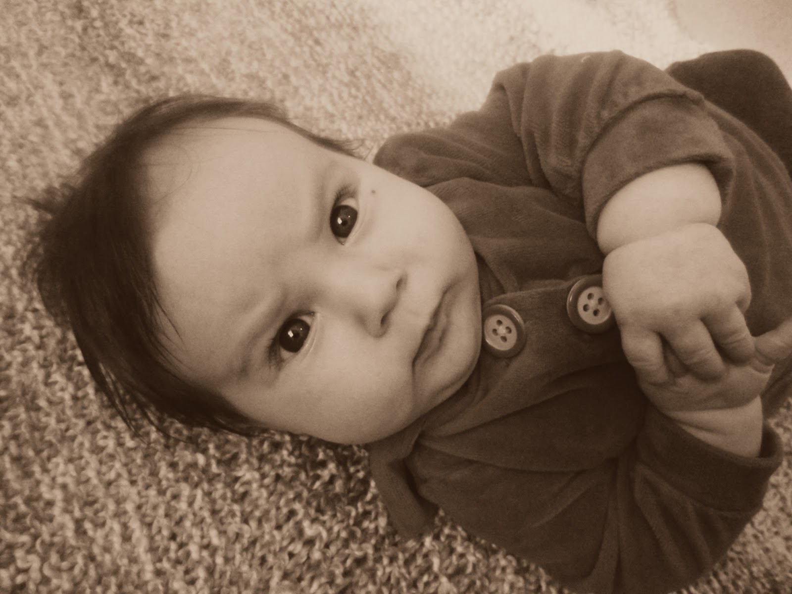 Rachel Jaybird: renniebird... three months (a wee bit late)